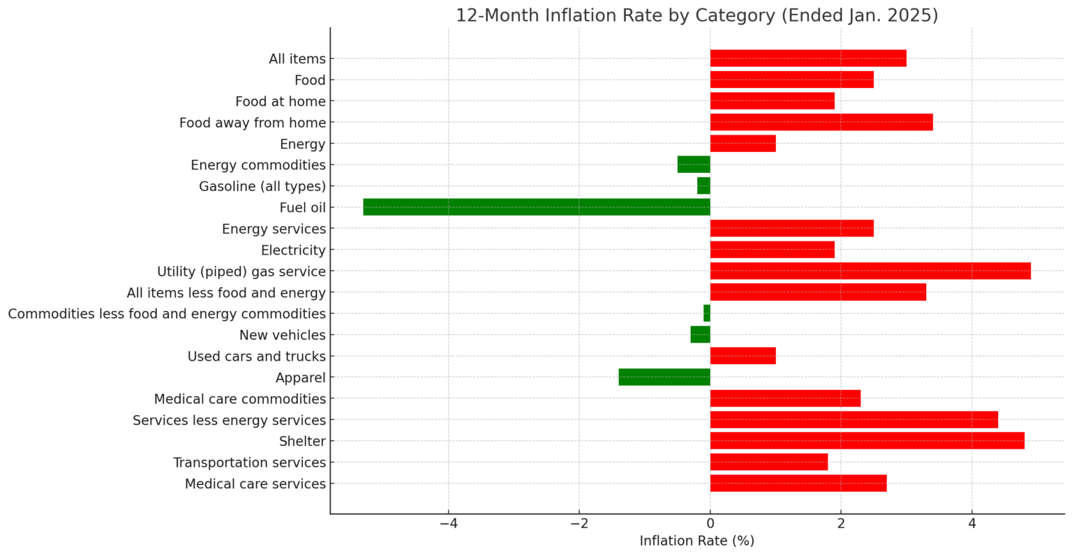 BLS: January 2025 CPI – The Econonaut!